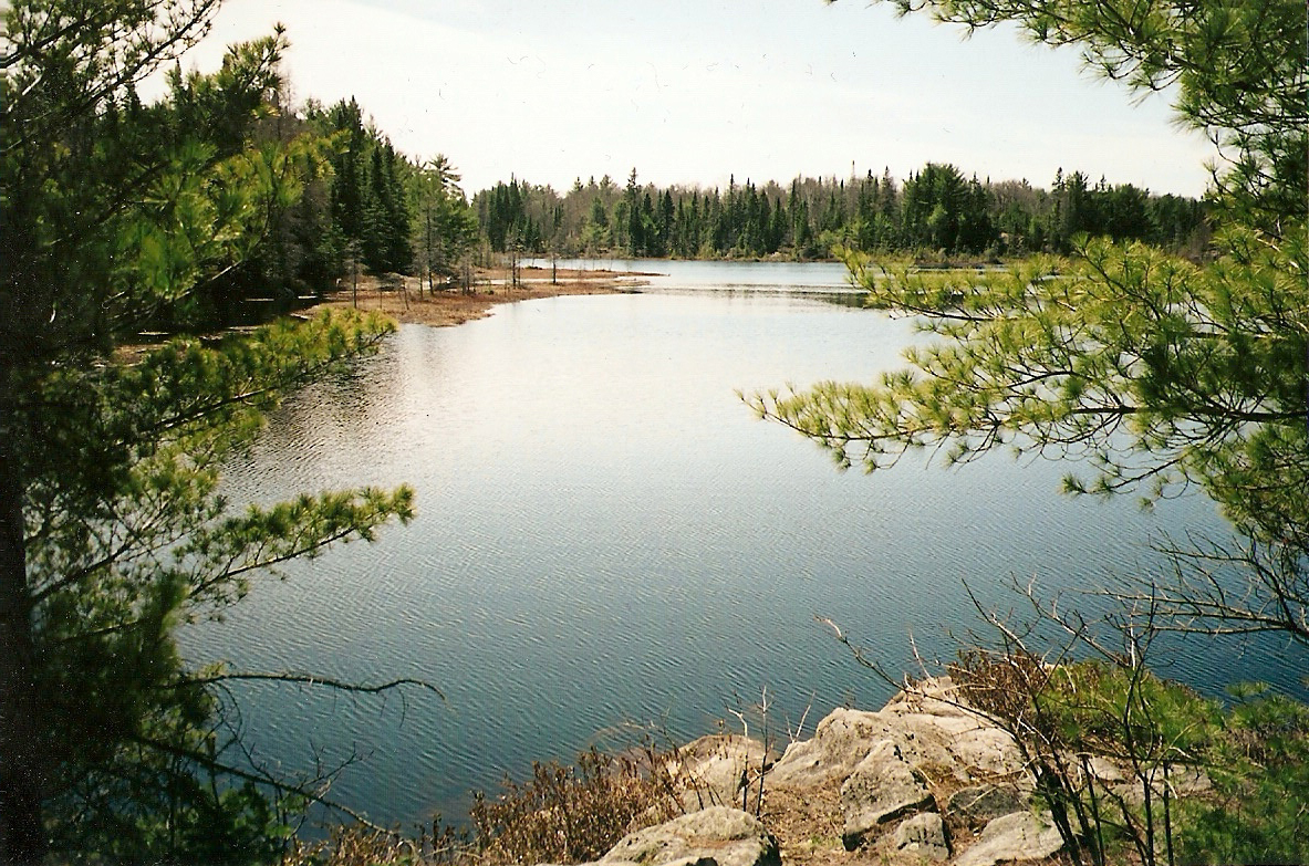 True North Foundation - About TNF(Philosophy)