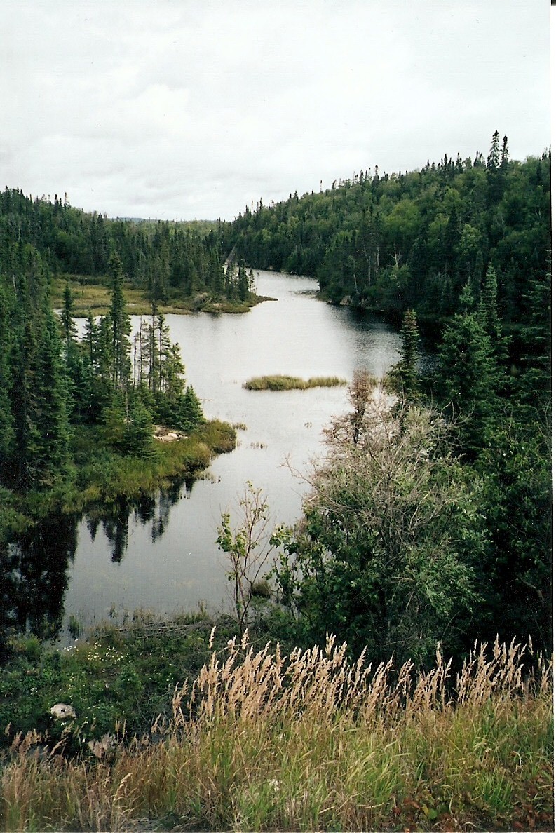 True North Foundation - About TNF(Philosophy)