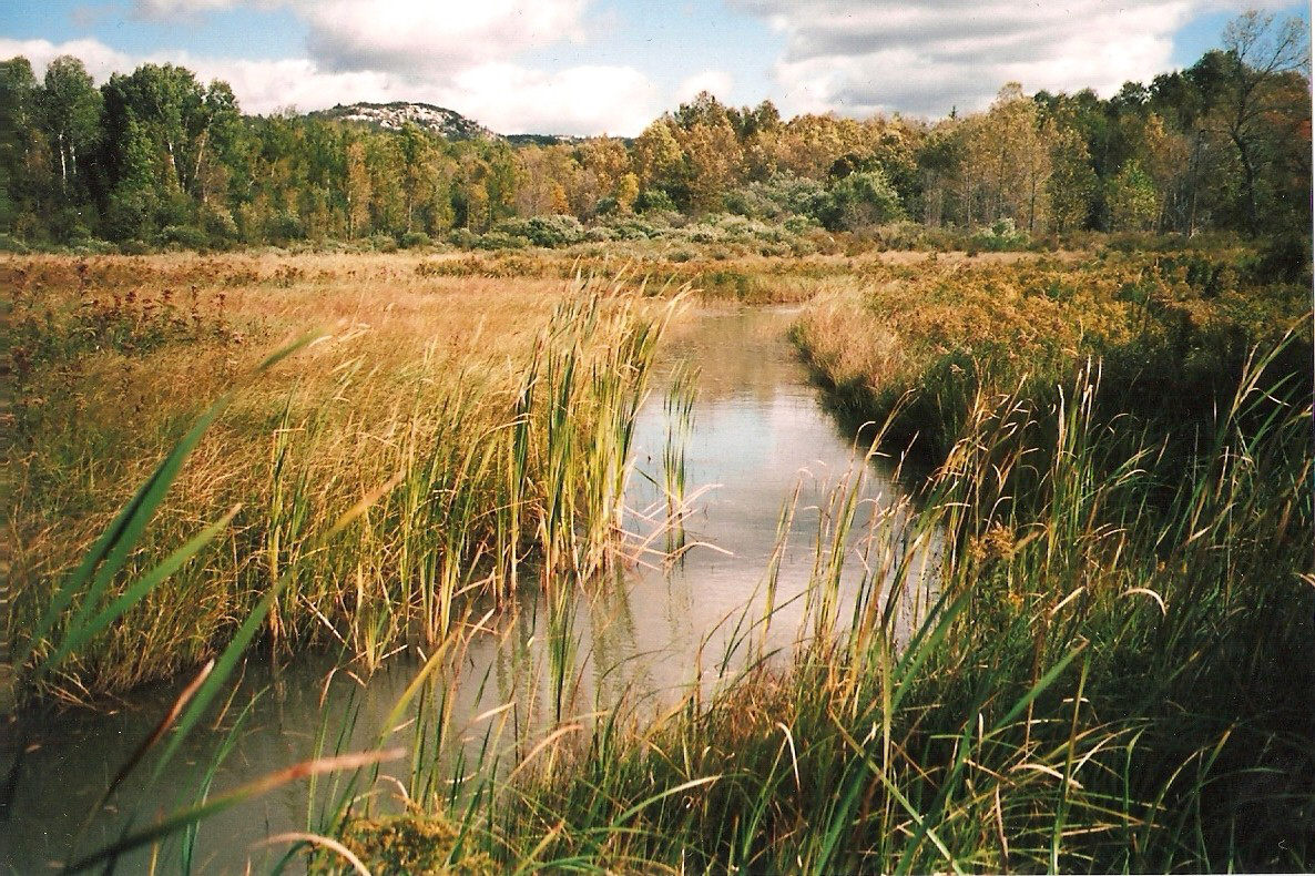 True North Foundation - About TNF(Supporting Partners)